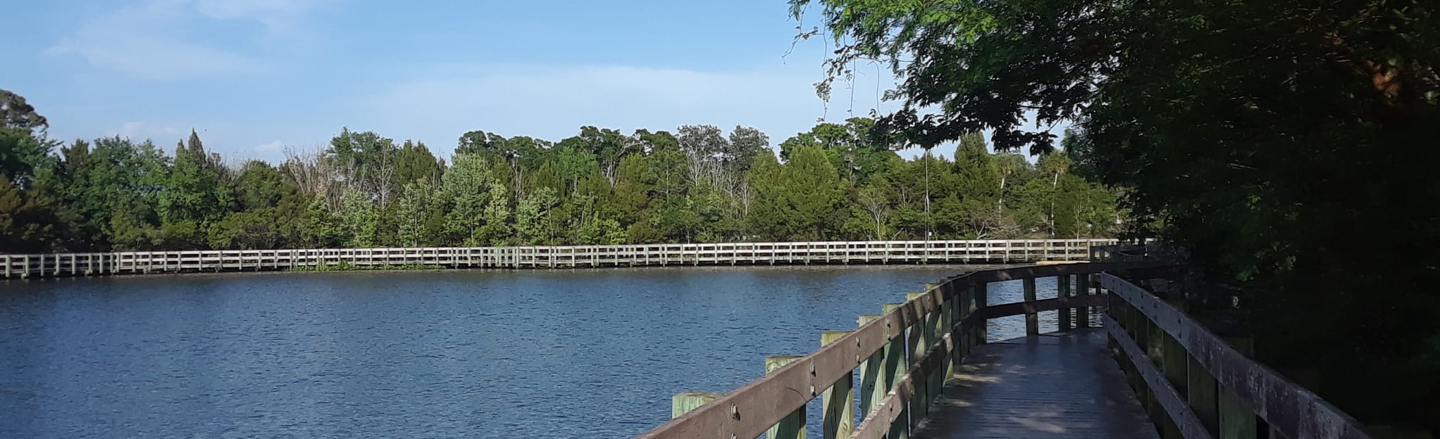 Largo Nature Preserve Loop, Florida - 290 Reviews, Map | AllTrails