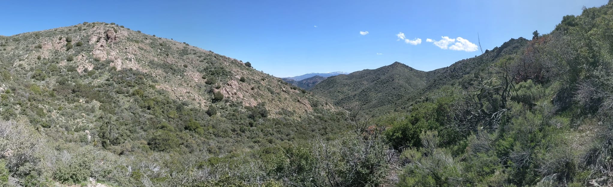Paradise Trail, Haunted Canyon, Bull Basin, and West Pinto Creek Loop ...