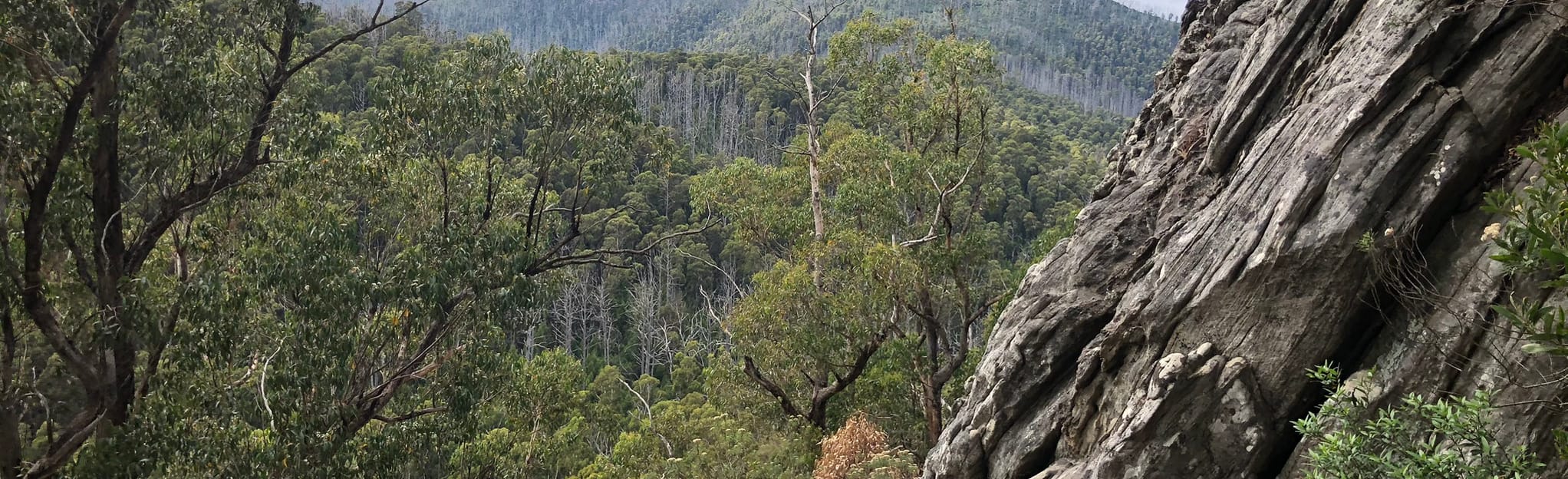 Wells Cave Track, Victoria, Australia - 24 Reviews, Map | AllTrails