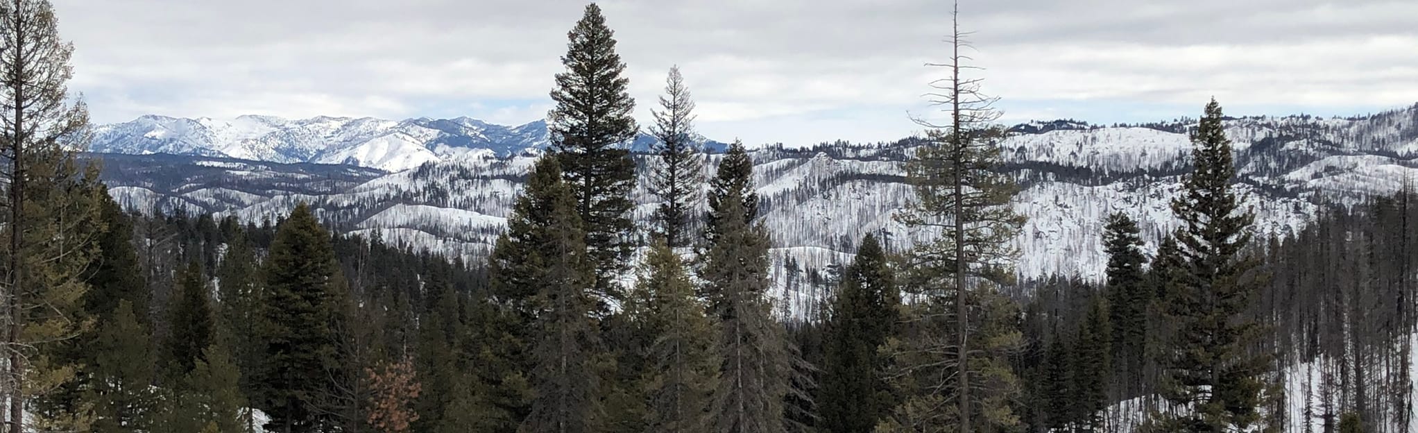 Whoop Em Up Loop: 139 Fotos - Idaho | AllTrails