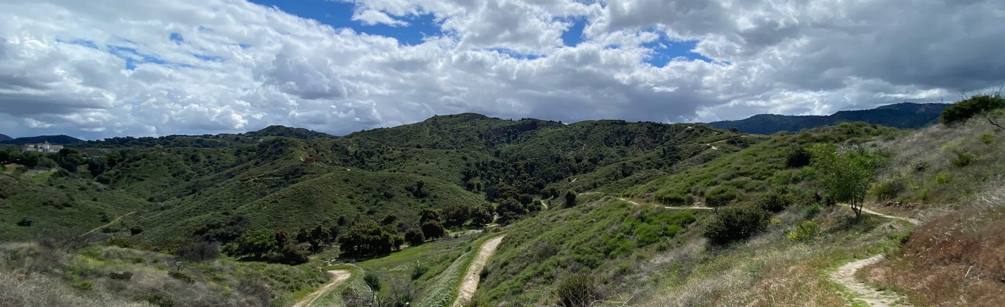 Wildwood, Highland Loop, California - 255 Reviews, Map | AllTrails