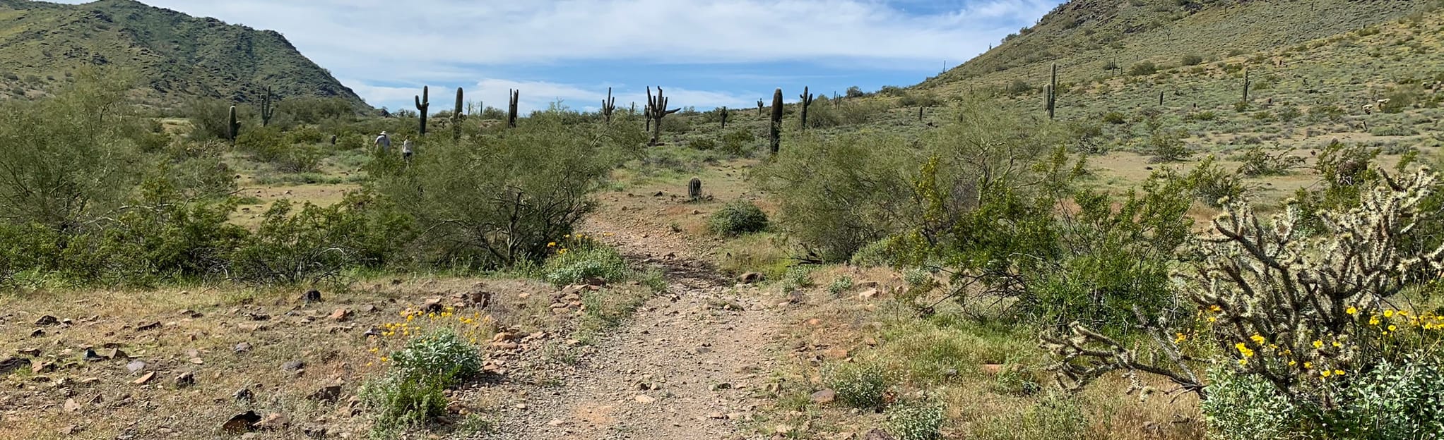 Trail 100, Trail 306 and No Name Mountain Loop: 325 Reviews, Map ...