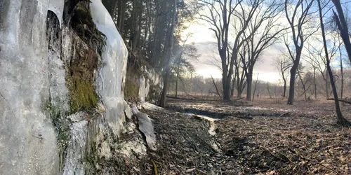 Best Hikes and Trails in Kickapoo Valley Reserve | AllTrails