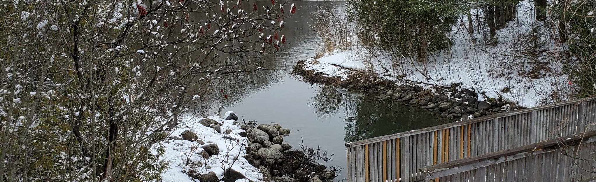 Stonebridge Trail: 234 Reviews, Map - Ontario, Canada | AllTrails