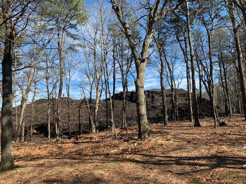 Best Hikes and Trails in David Overton Trail | AllTrails