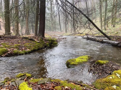 Best Hikes and Trails in The Hook Natural Area | AllTrails