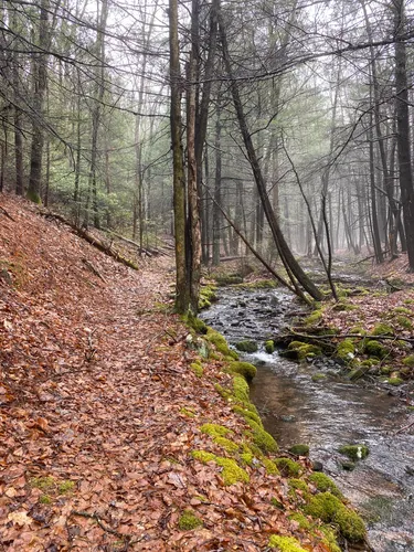 Best Hikes and Trails in The Hook Natural Area | AllTrails