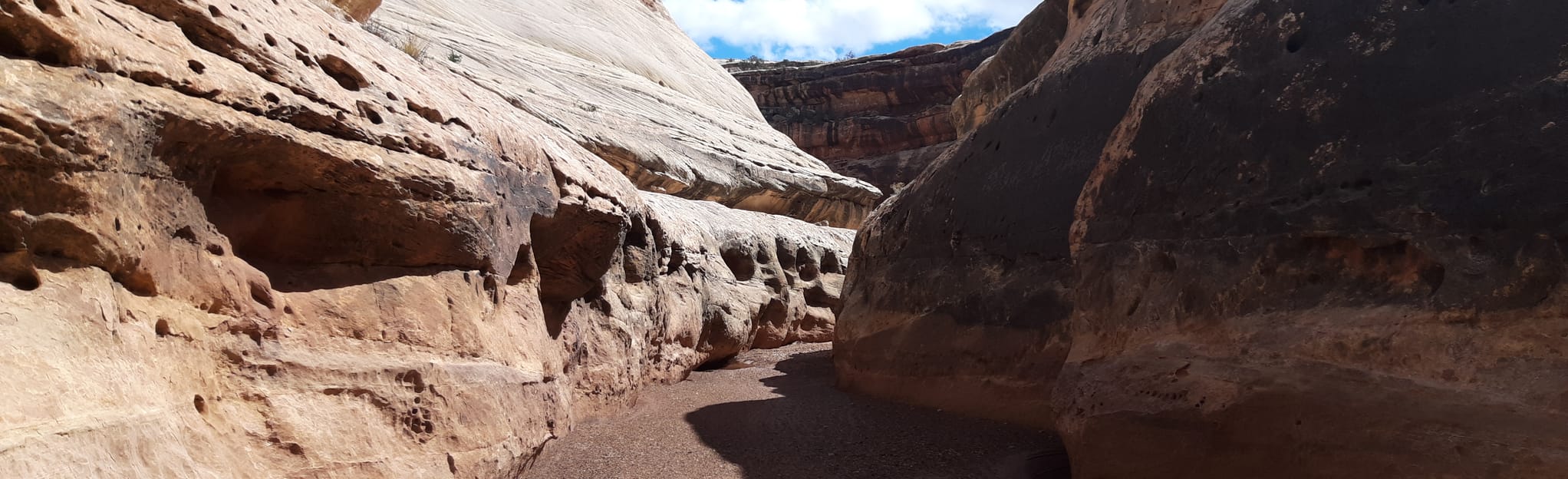Long Canyon from Jacob’s Chair Trailhead via White Deer Canyon, Utah ...