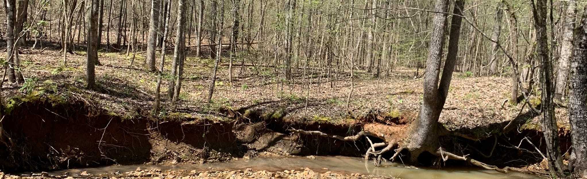 Durhamtown OHV Trail: 14 Reviews, Map - Georgia | AllTrails