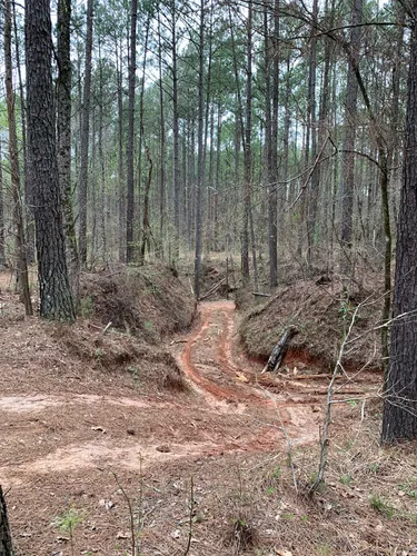 Best Off Road Driving Trails in Union Point | AllTrails