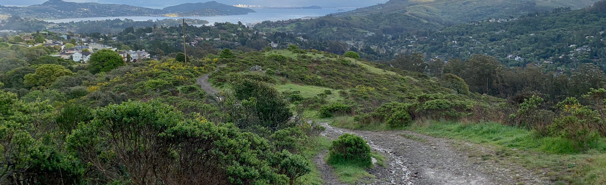 Homestead Hill via Lattie to Greenhill, California - 94 Reviews, Map ...