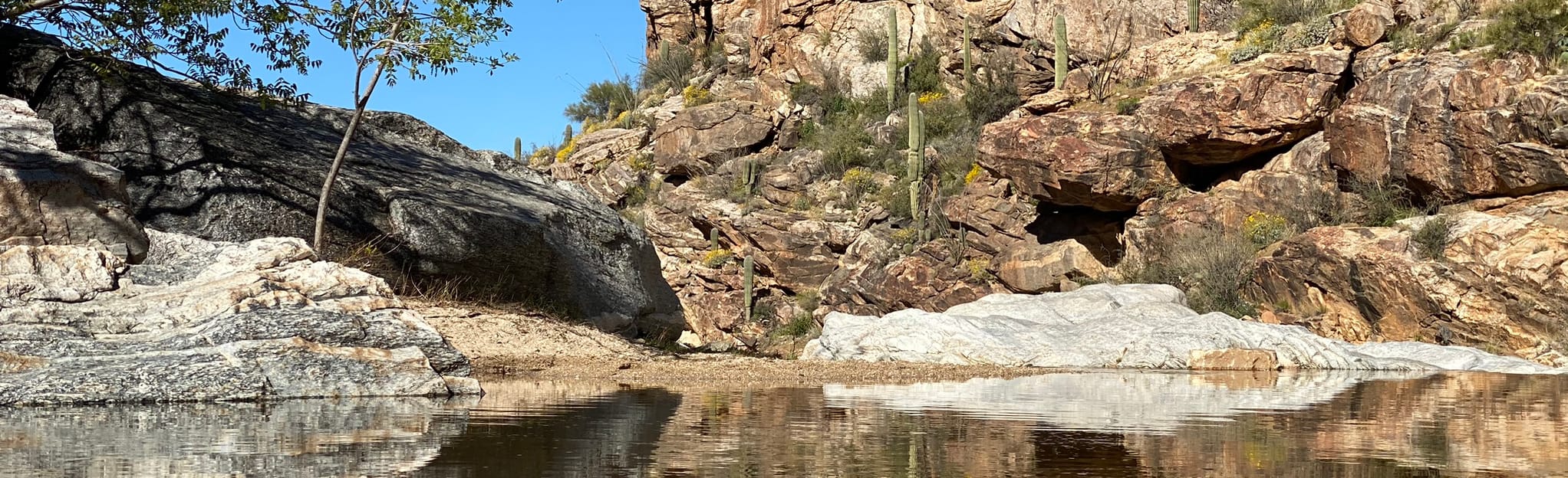Tanque Verde Falls, Arizona - 280 Reviews, Map | AllTrails