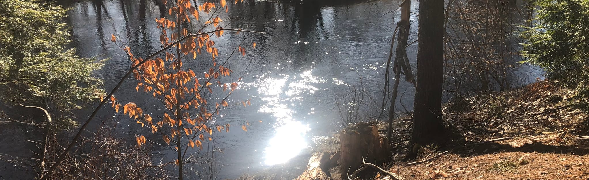 McCabe Forest: 75 Reviews, Map - New Hampshire | AllTrails