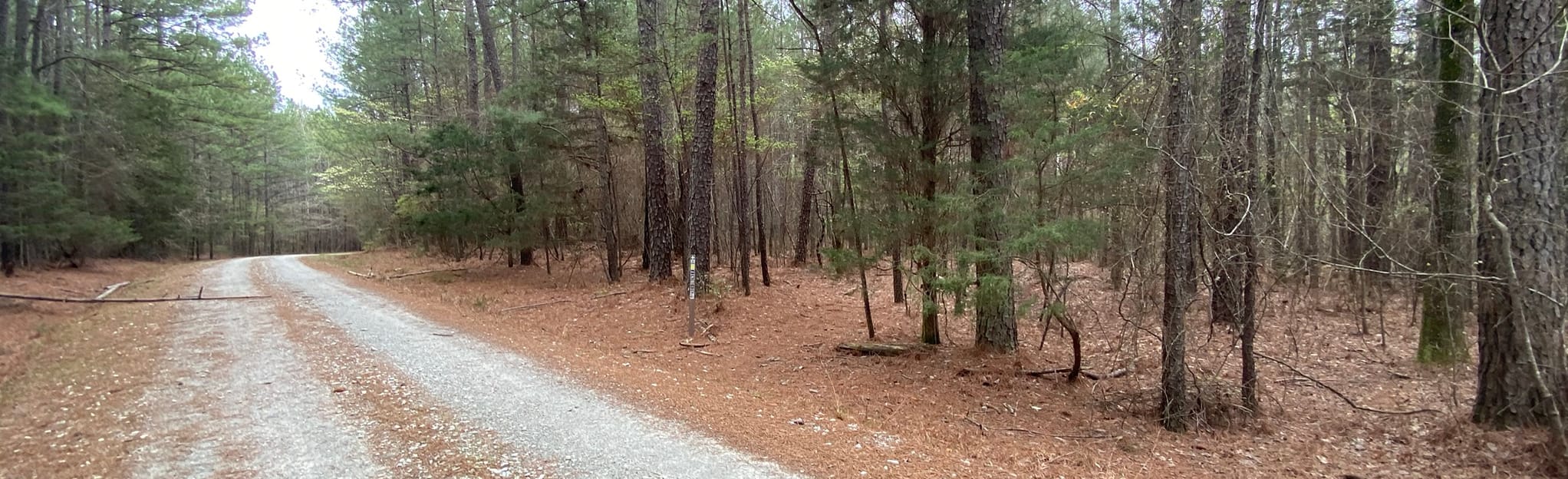 Enoree Passage: Franklin Road Trailhead to Brickhouse , South Carolina ...