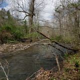 Unicoi State Park Bike Trails, Georgia - 106 Reviews, Map | AllTrails