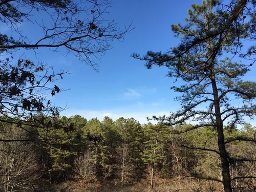 Best Hikes and Trails in Brookhaven State Park | AllTrails