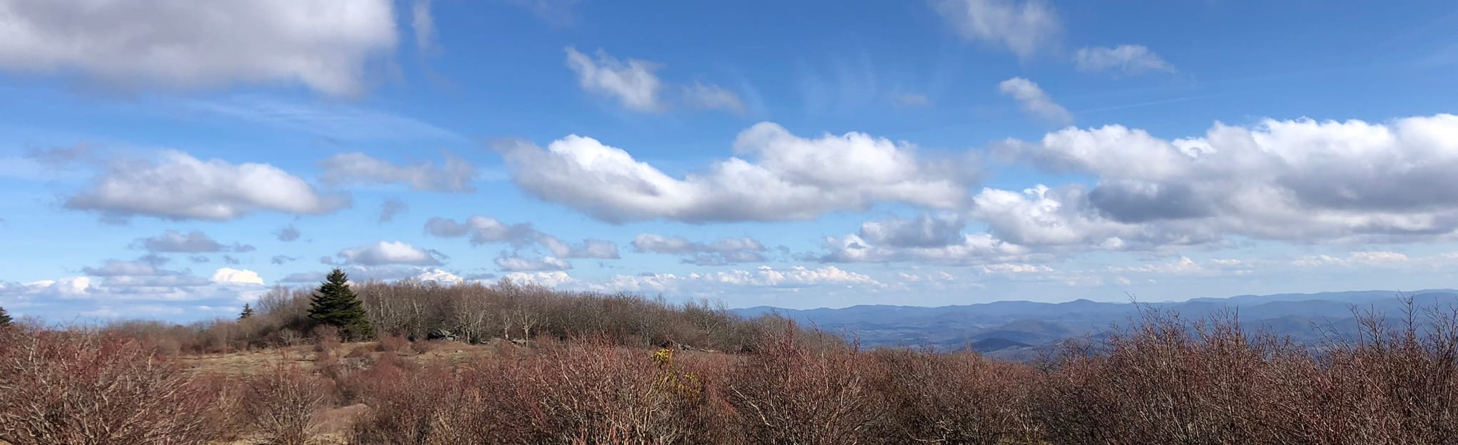 Kabel Trail #4606: 219 fotos - Virgínia | AllTrails