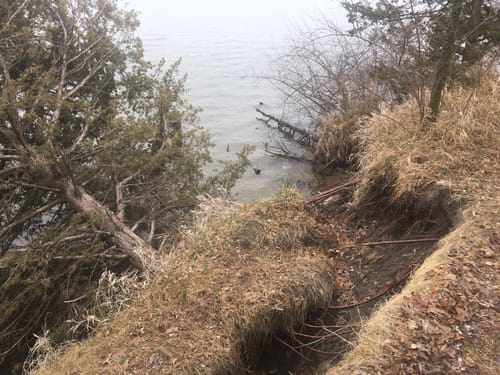 Best Hikes and Trails in Dead Timber State Recreation Area | AllTrails