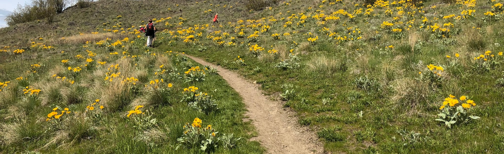 Middelton Mountain Trail, British Columbia, Canada - 11 Reviews, Map ...