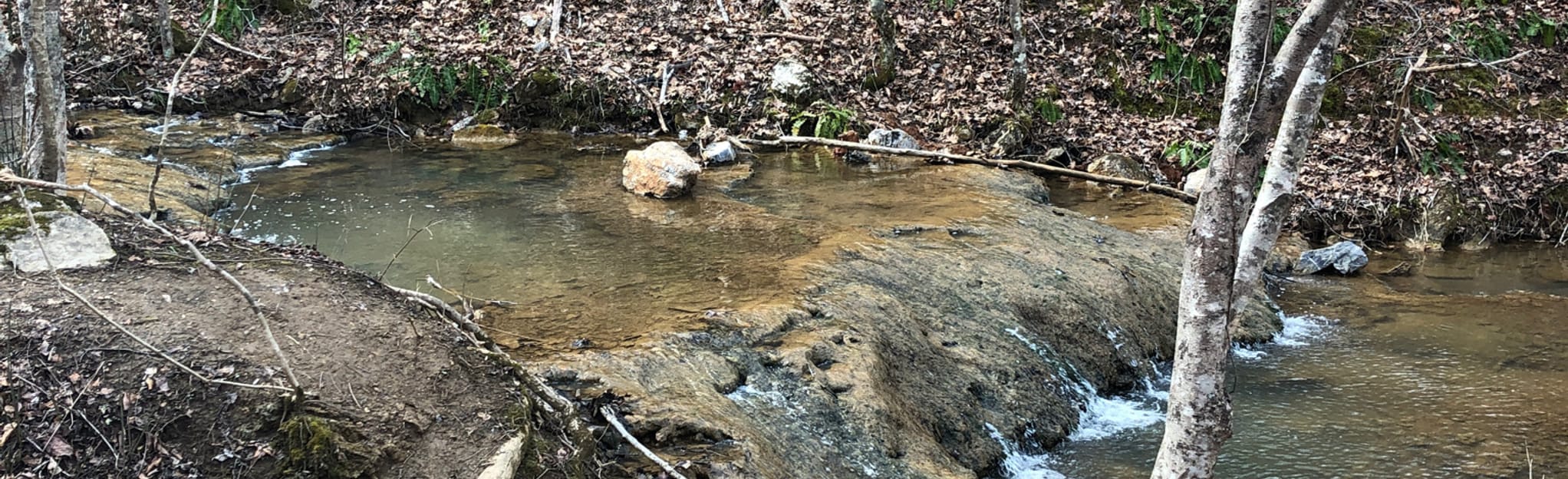 Bradley Trail [CLOSED], Virginia - 96 Reviews, Map | AllTrails