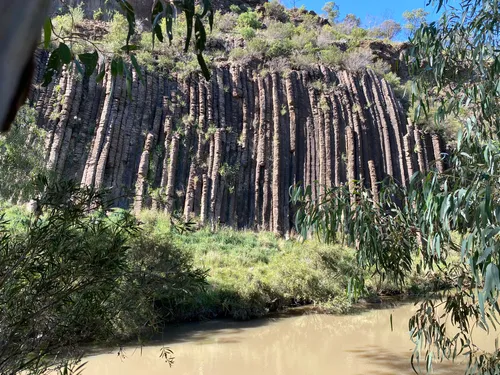 Best Hikes and Trails in Organ Pipes National Park | AllTrails