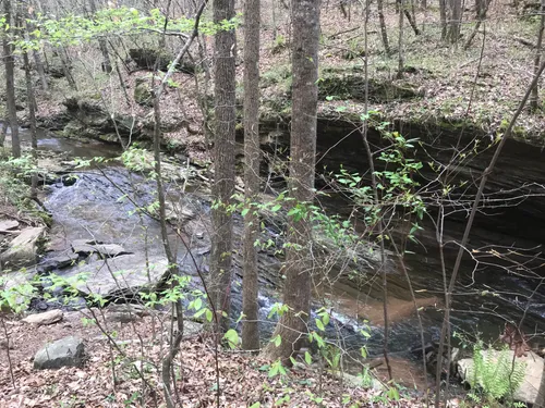 Best Walking Trails in Sandy Springs | AllTrails