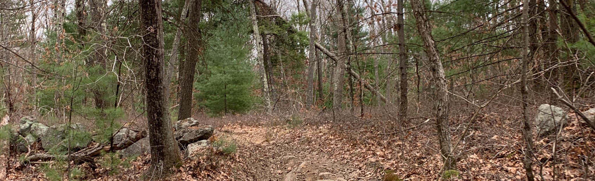 Pinnacle Trail: 72 Reviews, Map - Massachusetts | AllTrails