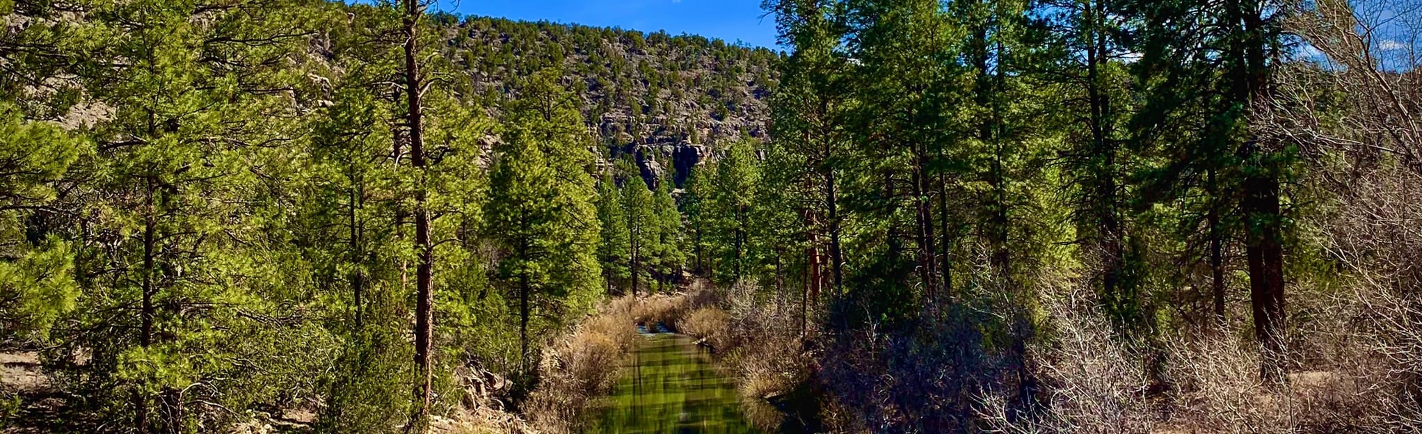 Chevelon Canyon, Arizona - 18 Reviews, Map | AllTrails
