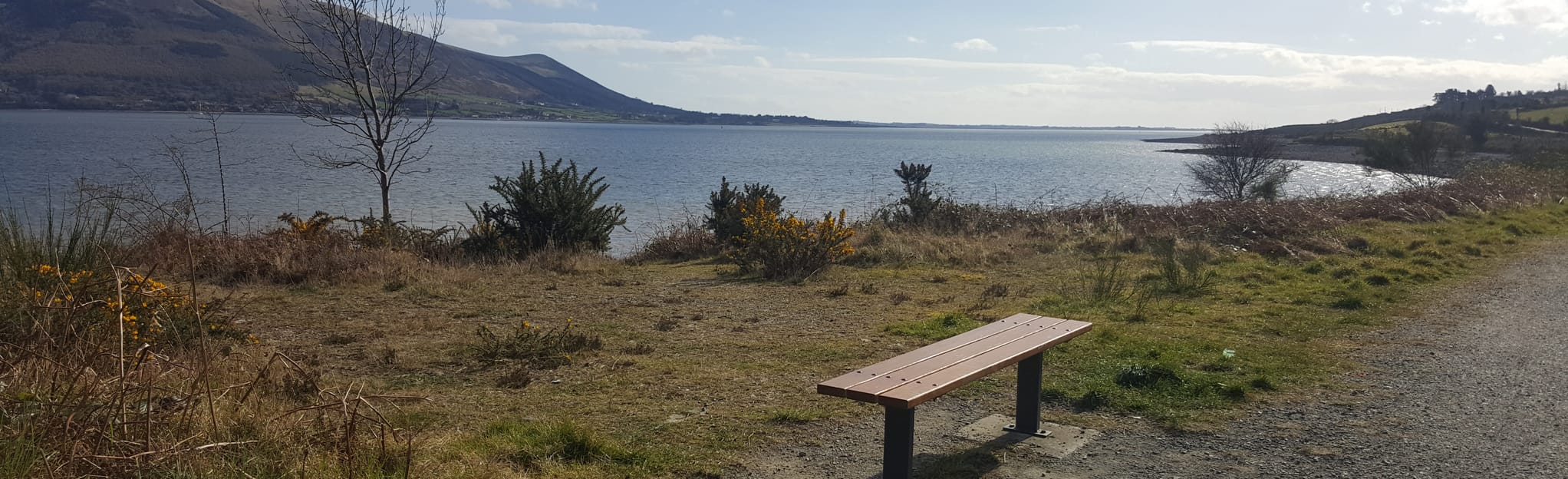 Carlingford to Omeath, County Louth, Ireland - 60 Reviews, Map | AllTrails