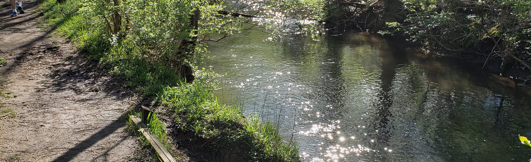 Goose Creek Nature Trail, Kentucky - 487 Reviews, Map | AllTrails