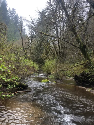 Best Hikes and Trails in Mapleton | AllTrails