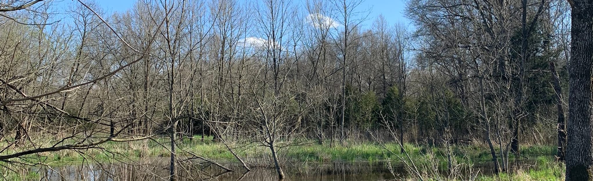 Route 66 State Park Inner Loop: 221 Reviews, Map - Missouri | AllTrails