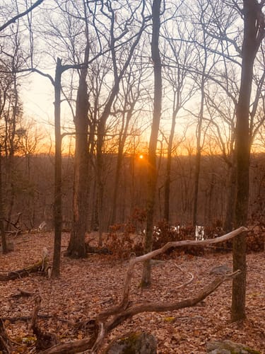 Best Hikes and Trails in Whippoorwill Park | AllTrails