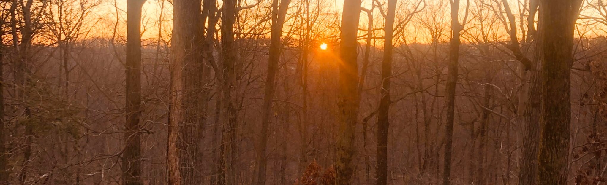 Whippoorwill Park Loop: 209 Reviews, Map - New York | AllTrails