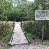 Joyce WMA Swamp Walk Nature Trail, Louisiana - 57 Reviews, Map | AllTrails