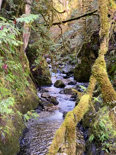 10 Best Hikes and Trails in Goldstream Provincial Park | AllTrails
