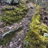 Jenny Wiley Trail, Kentucky - 57 Reviews, Map | AllTrails