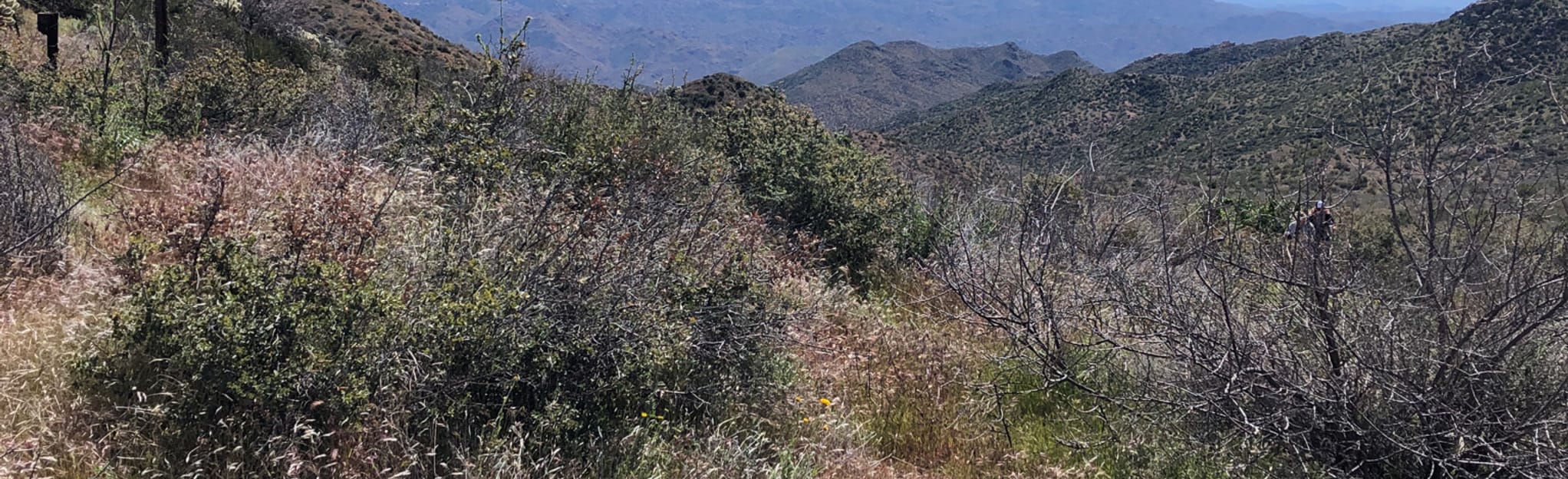 Log Corral OHV Trail (FR3456), Arizona - 104 Reviews, Map | AllTrails