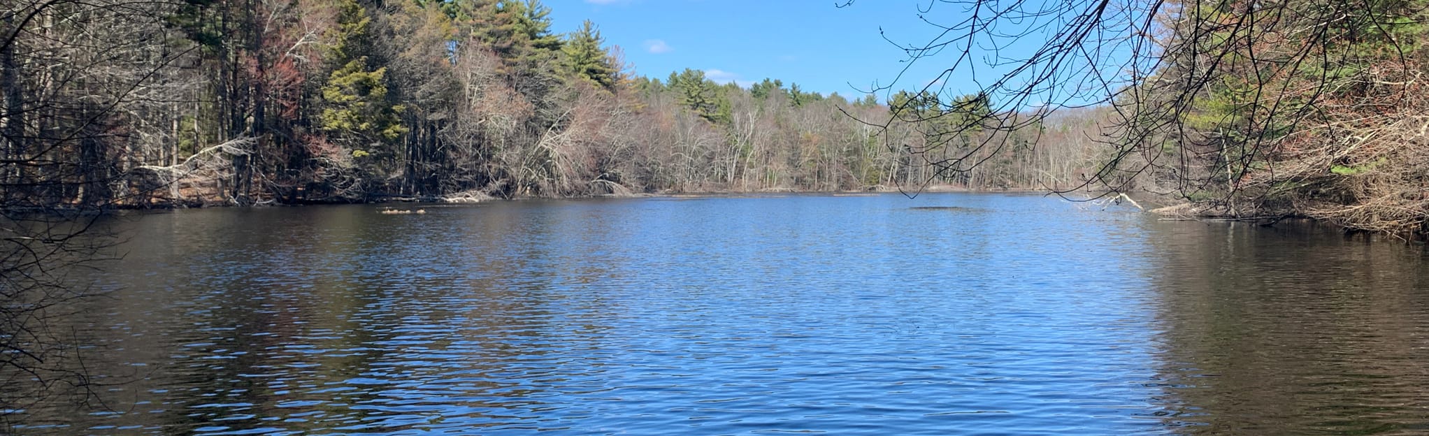 Red Tail to Bear Paw to Acorn to Backpacker Trails Loop: 278 Reviews ...