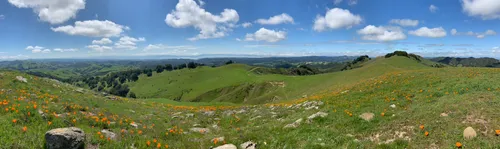 10 Best Trails and Hikes in San Ramon | AllTrails