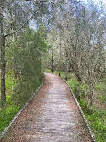 Best Hikes and Trails in Hunter Wetlands National Park | AllTrails