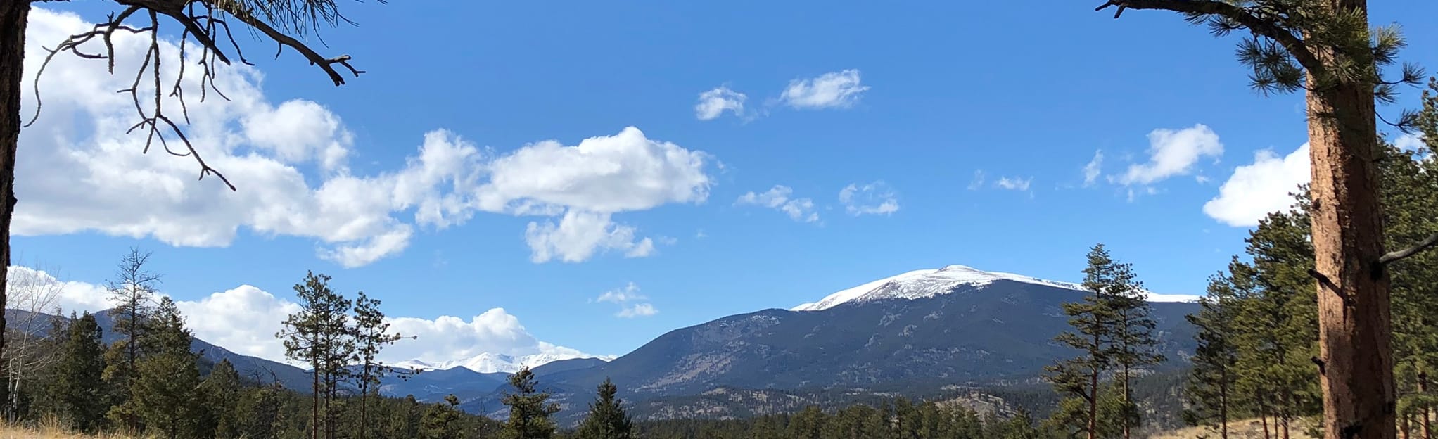 Brookside-McCurdy Trail: 200 Reviews, Map - Colorado | AllTrails