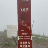 Mount Luofu Trail, Guangdong, China - 14 Reviews, Map | AllTrails