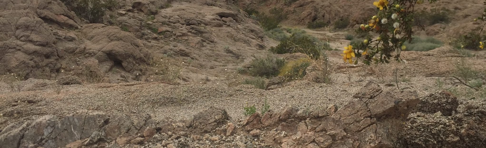 Route of Butterfield Stage OHV Trail | Mapa, Roteiro - Arizona | AllTrails
