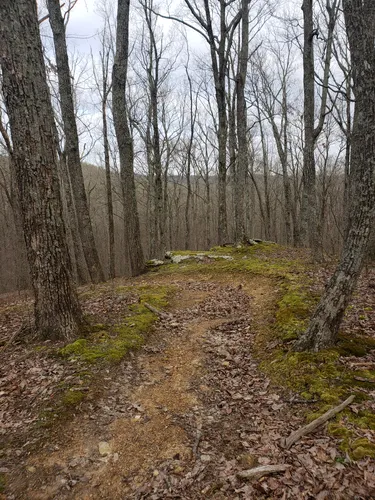 Best Hikes and Trails in German Ridge Recreation Area | AllTrails