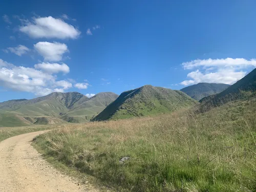 Best Hikes and Trails in Wind Wolves Preserve | AllTrails