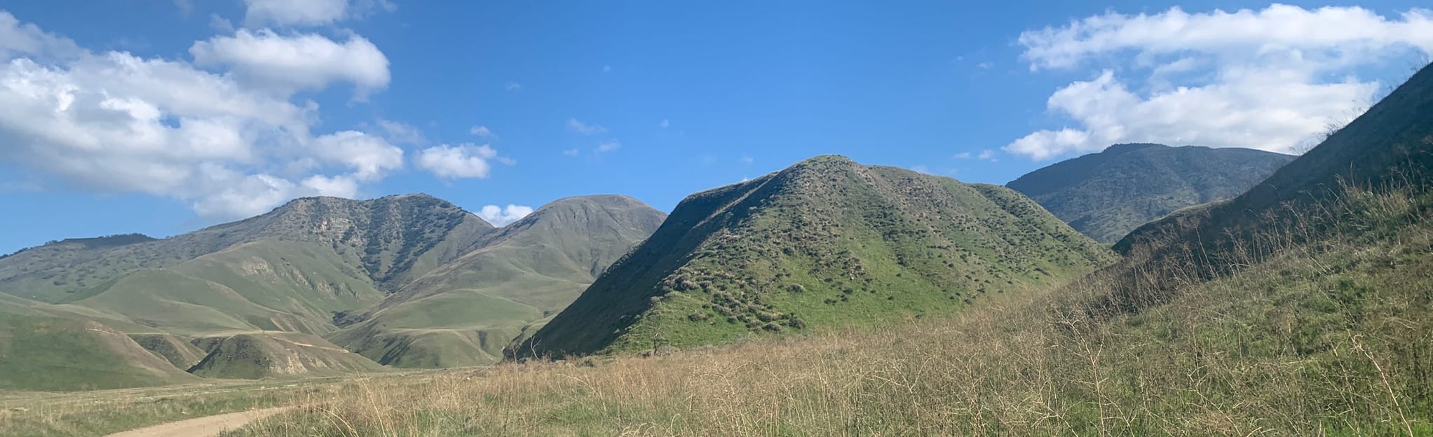 El Camino Viejo Bike Trail, California - 343 Reviews, Map | AllTrails