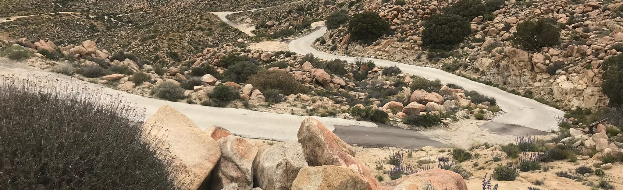 Smugglers Cave Trail, California - 139 Reviews, Map | AllTrails