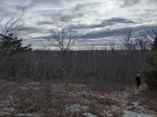 Best Hikes and Trails in Susan B. Minns Sanctuary | AllTrails