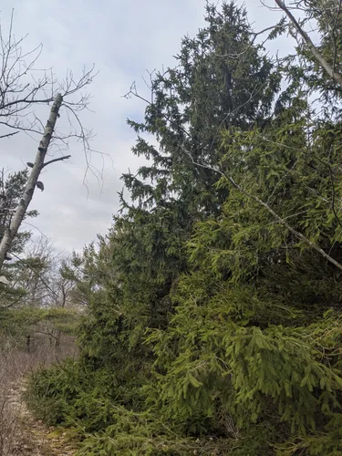 Best Hikes and Trails in Susan B. Minns Sanctuary | AllTrails